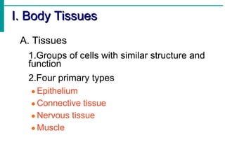 Ch 3 Tissue Types | PPT | Physical Therapy | Wellness