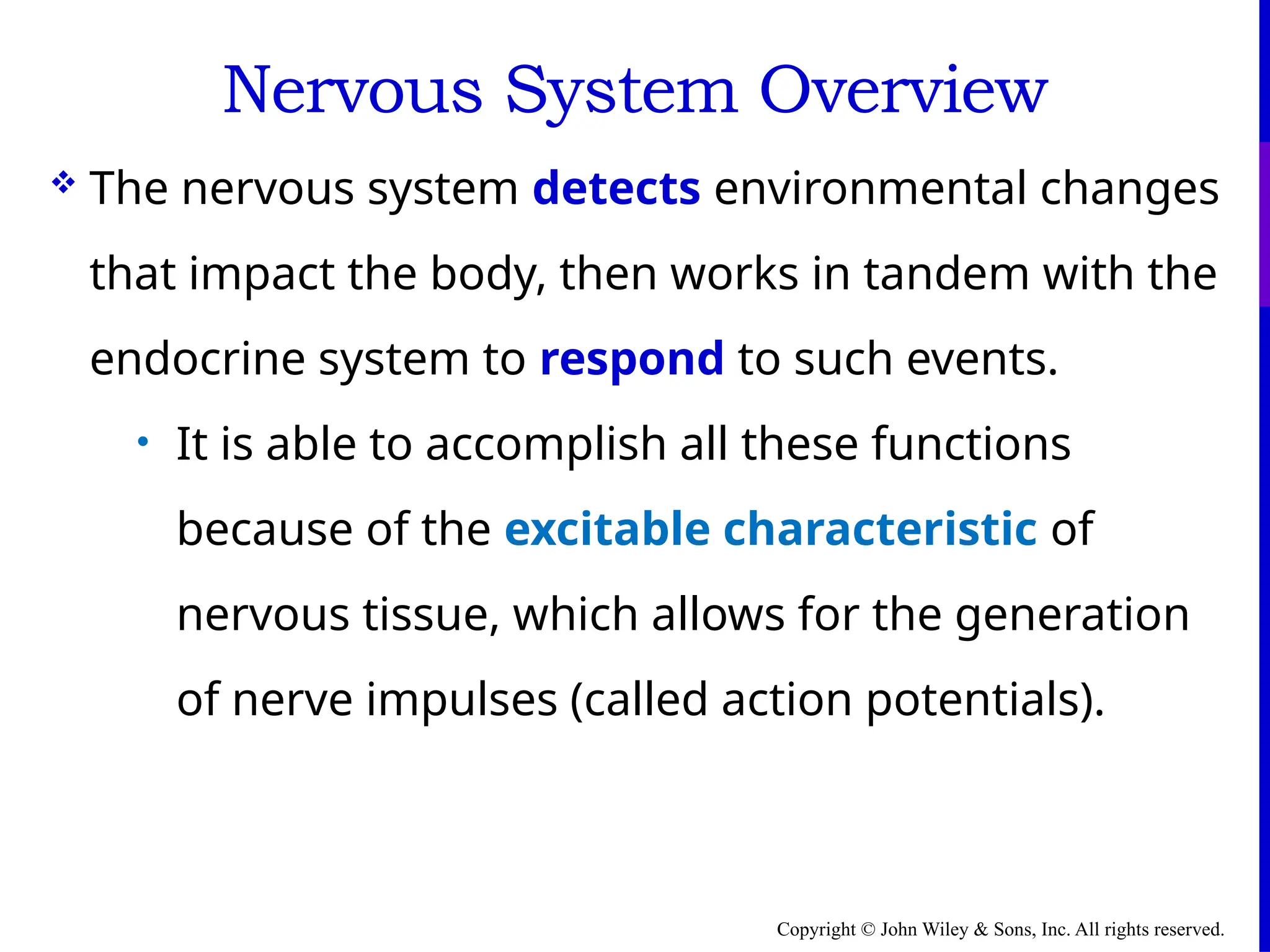 Nerve Physiology and Nervous system and its main parts | PPT