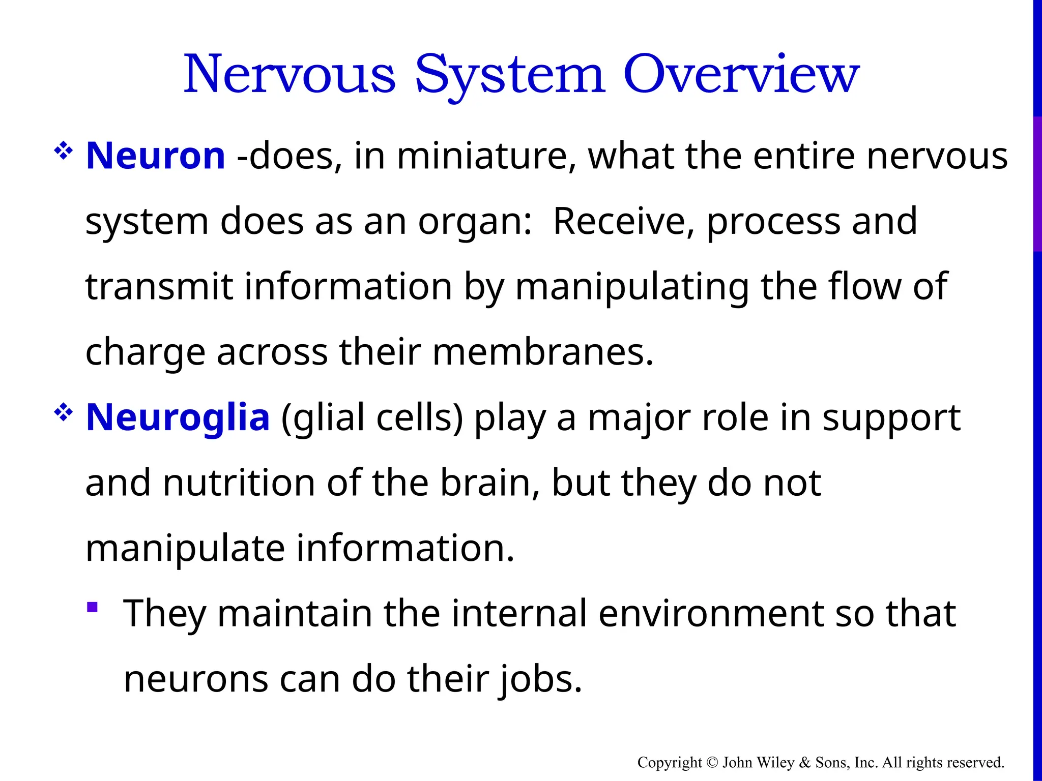 Nerve Physiology and Nervous system and its main parts | PPTX