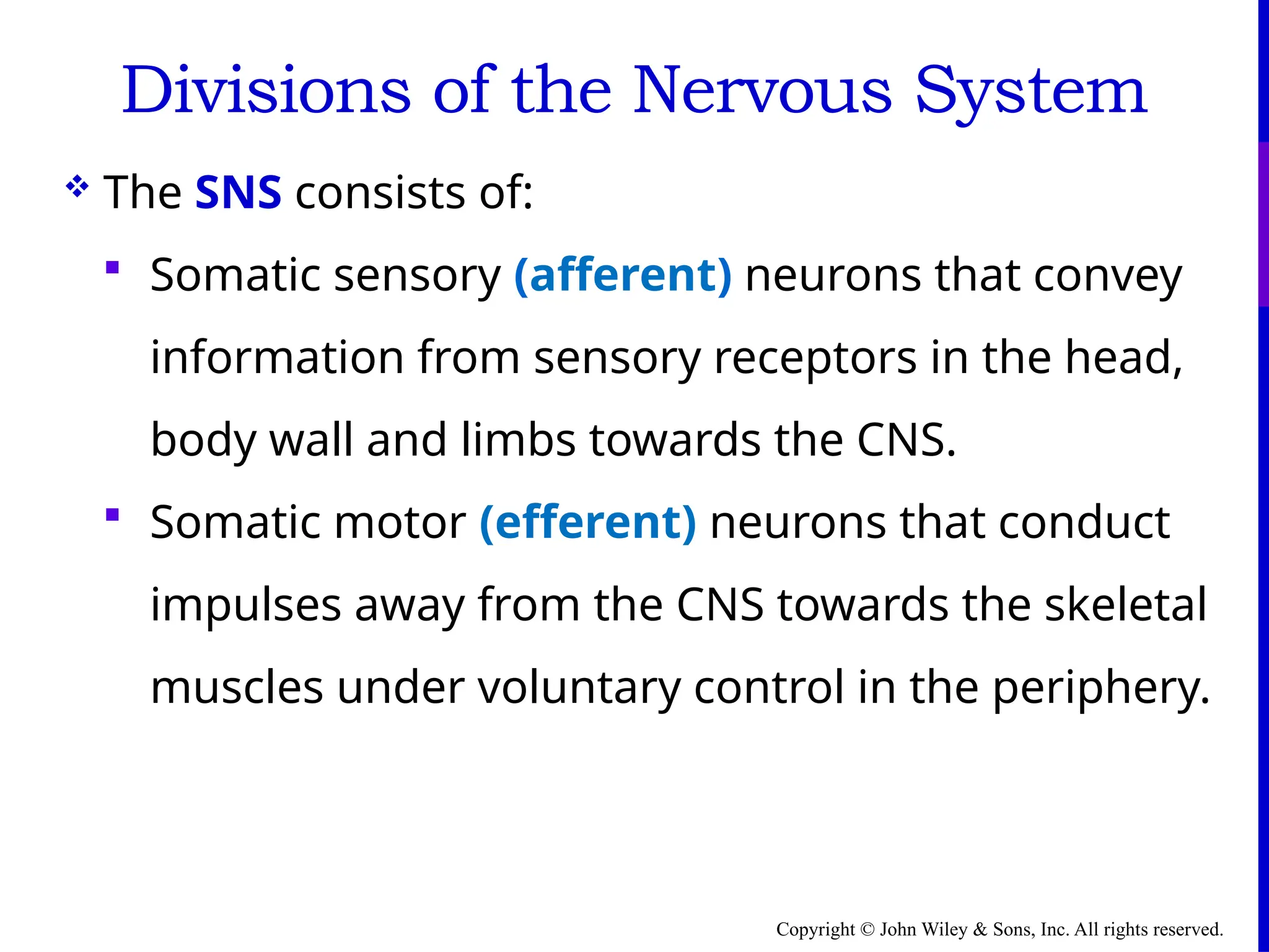 Nerve Physiology and Nervous system and its main parts | PPTX