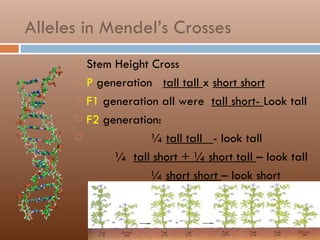 Ch.3,sec.1 mendel's work | PPT