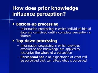 Ch. 3 sensation and perception.key | Brain and Nervous System Disorders ...