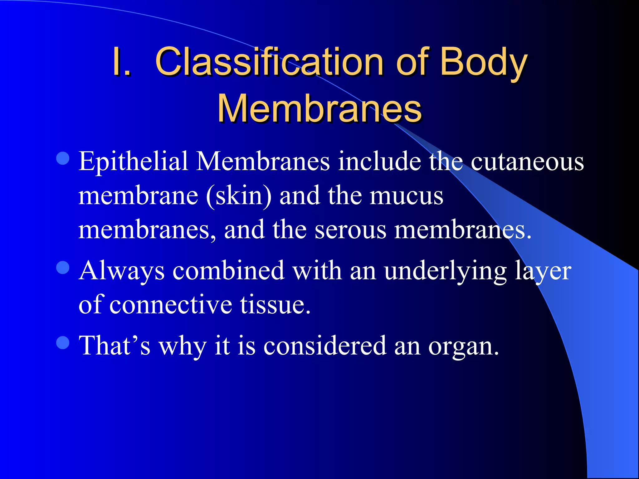 Ch. 4 Skin And Body Membranes | PPT