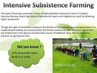 ch-4 Agriculture class 10th social science | PPTX
