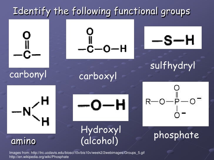 Ch. 4 and 5 review ppt
