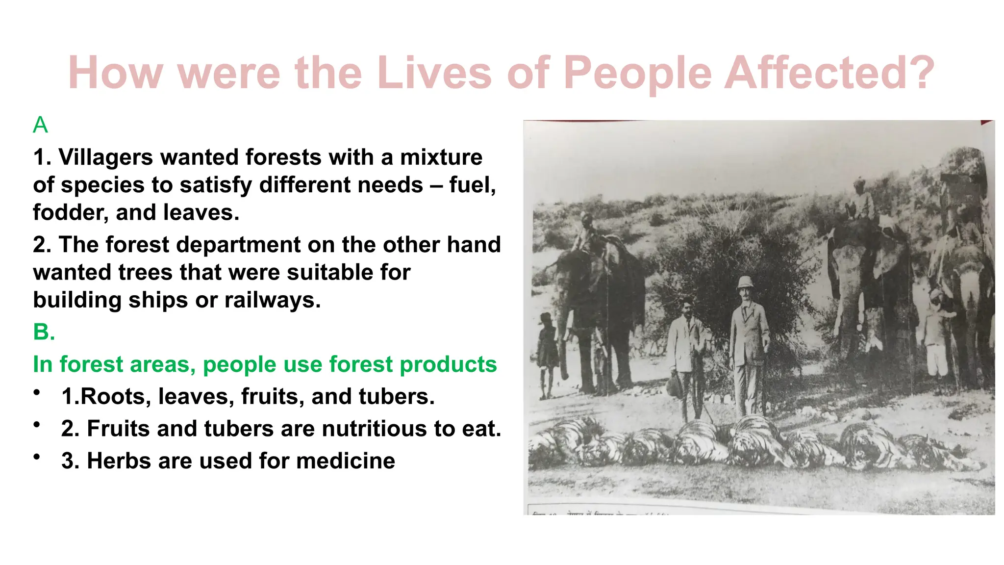 CH-4 FOREST SOCIETY AND COLONIALISM.pptx