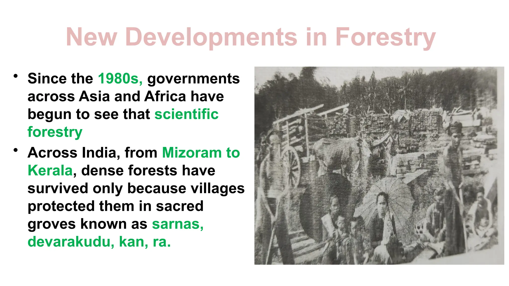 CH-4 FOREST SOCIETY AND COLONIALISM.pptx