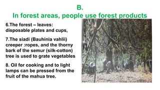 CH-4 FOREST SOCIETY AND COLONIALISM.pptx