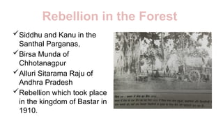 CH-4 FOREST SOCIETY AND COLONIALISM.pptx