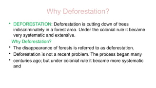 CH-4 FOREST SOCIETY AND COLONIALISM.pptx
