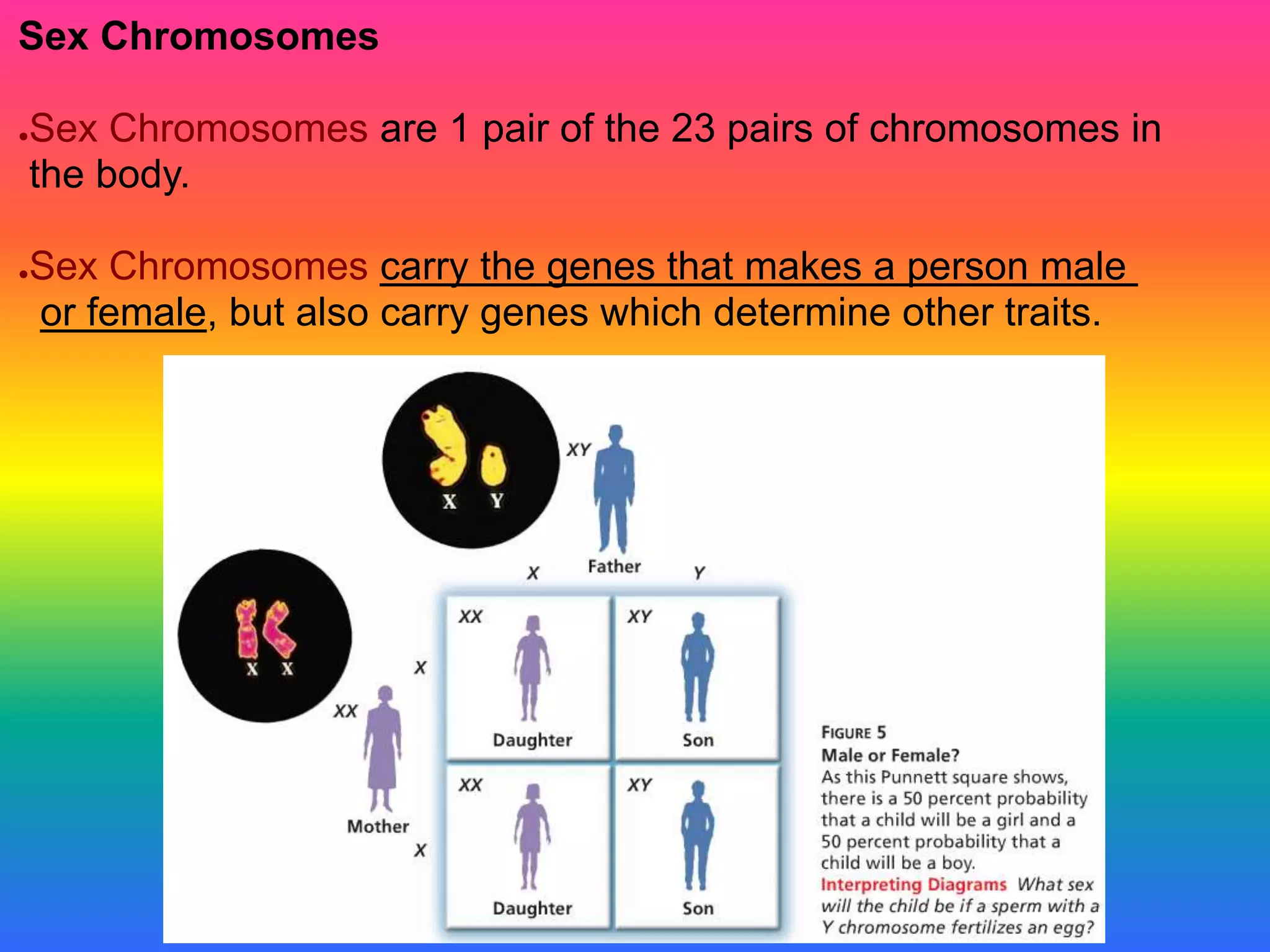 Ch. 4 human inheritance and genetic disorders [new] | PPTX