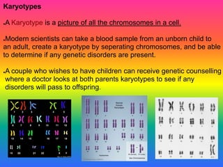 Ch. 4 human inheritance and genetic disorders [new] | PPTX | Blood ...