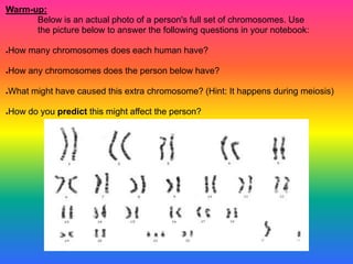 Ch. 4 human inheritance and genetic disorders [new] | PPTX | Blood ...