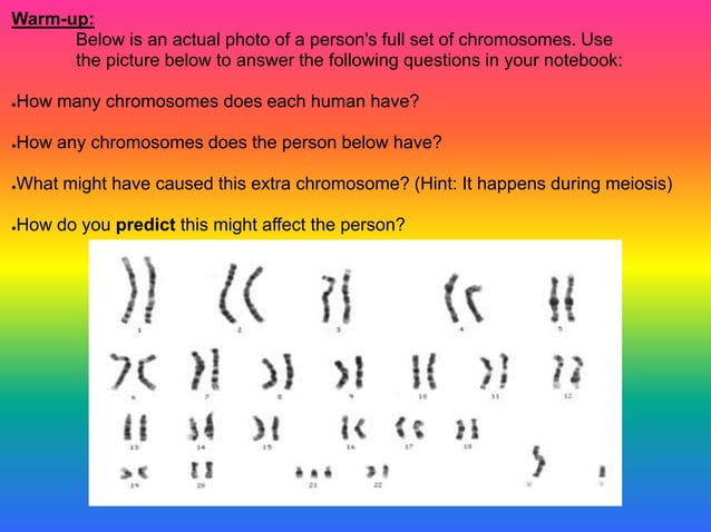 Ch. 4 human inheritance and genetic disorders [new] | PPT