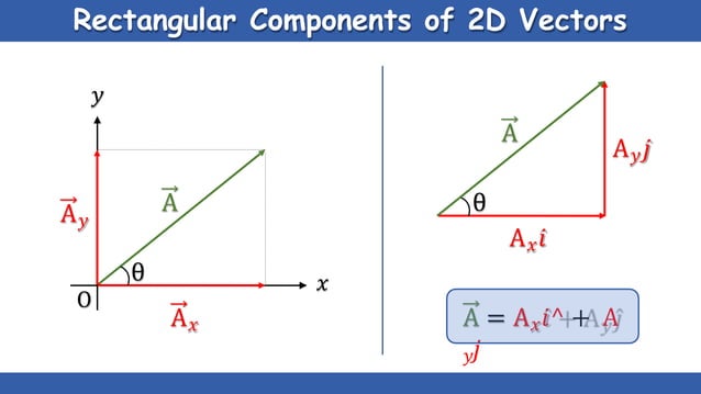 ch-4 vector and scalar of chapter laws of m | PPTX | Physics | Science