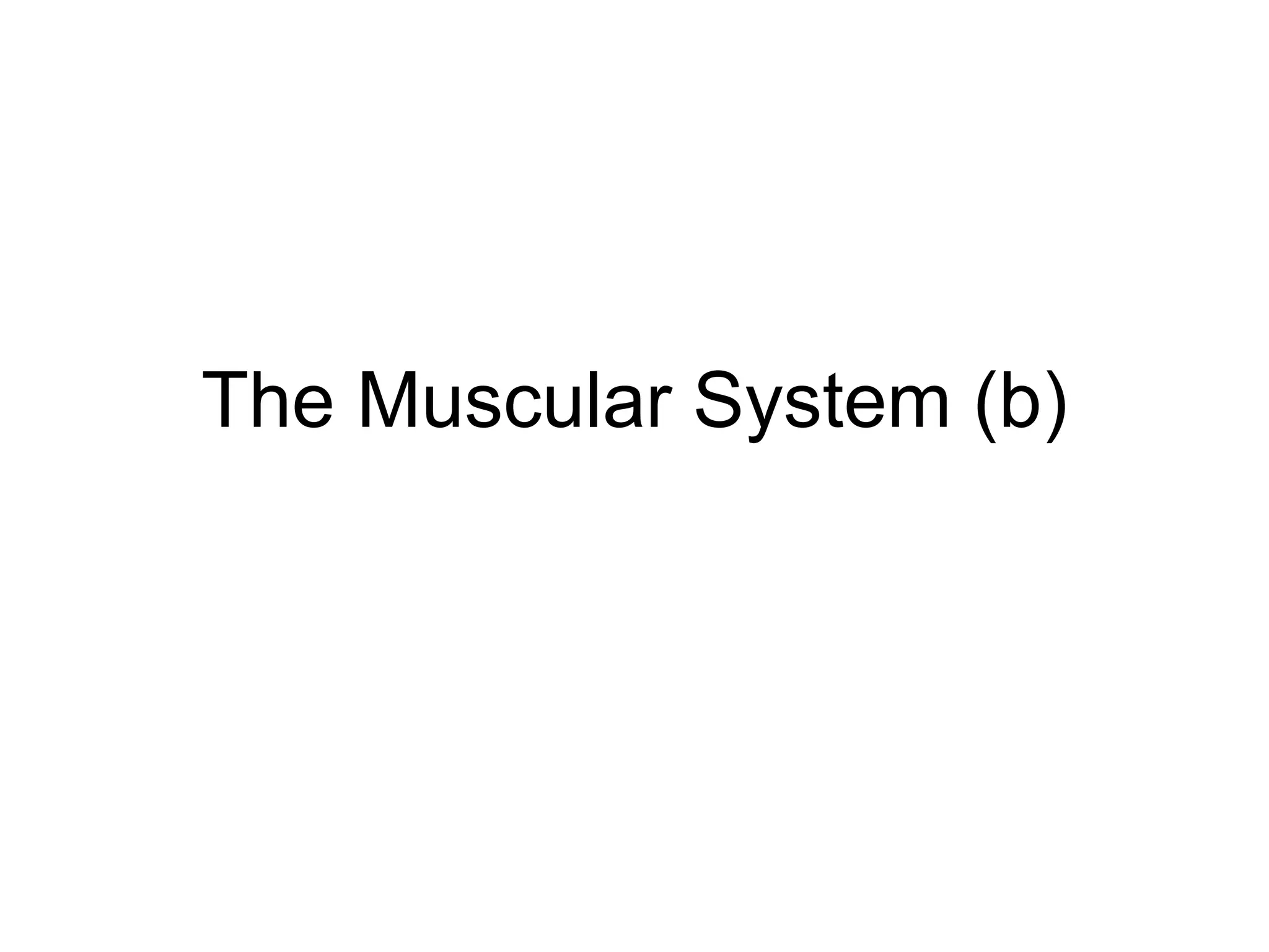 Ch 6-muscular-system | PPT