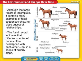 Ch 6.3 evidence of evolution | PPT