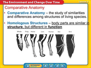 Ch 6.3 evidence of evolution | PPTX
