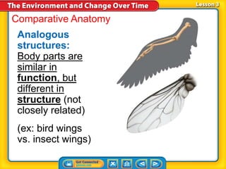 Ch 6.3 evidence of evolution | PPTX