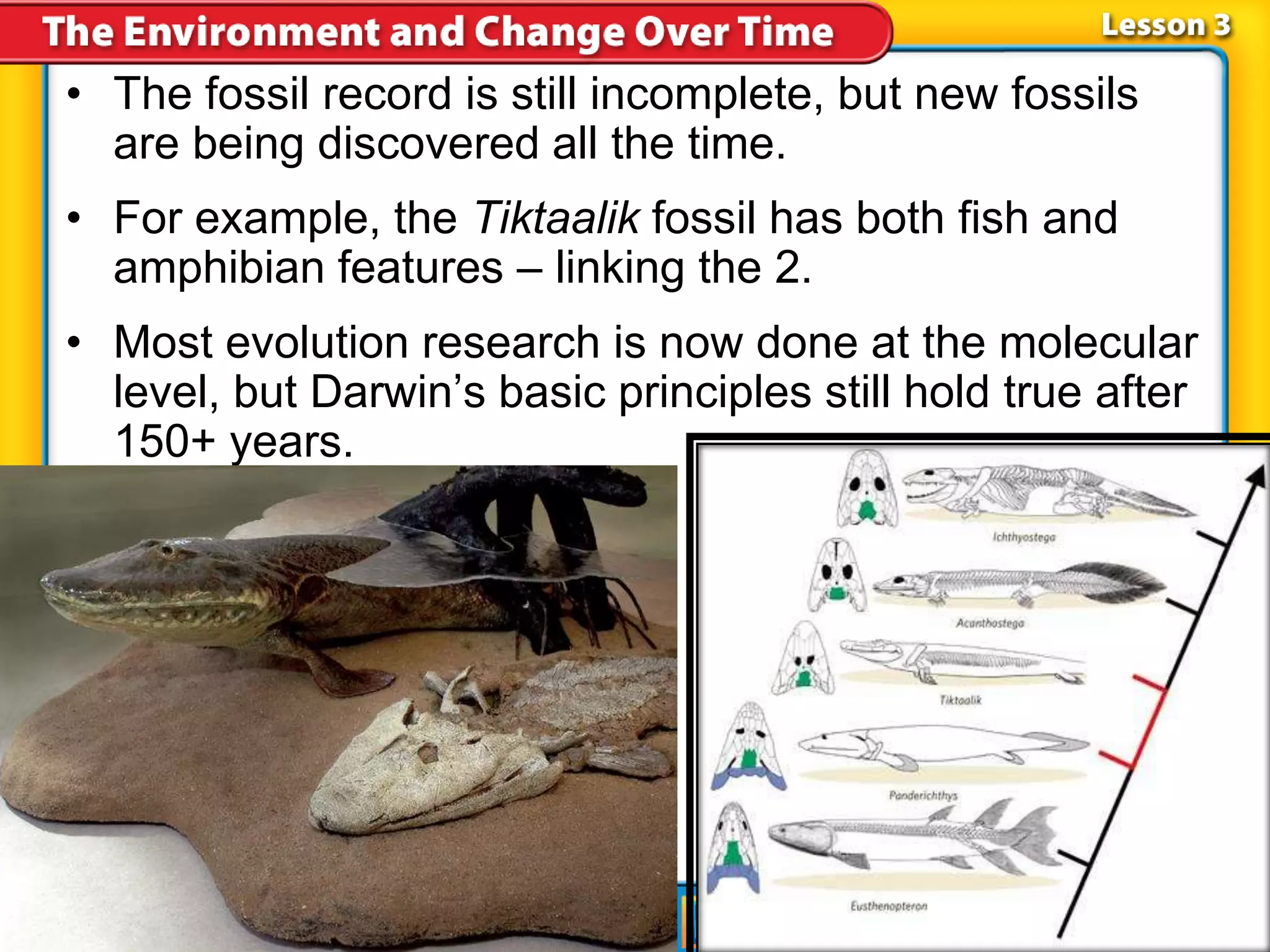 Ch 6.3 evidence of evolution | PPTX