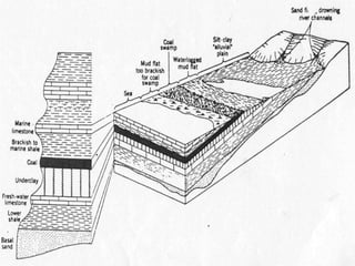 Facies and Stratigraphy sedimentary rocks.pptx
