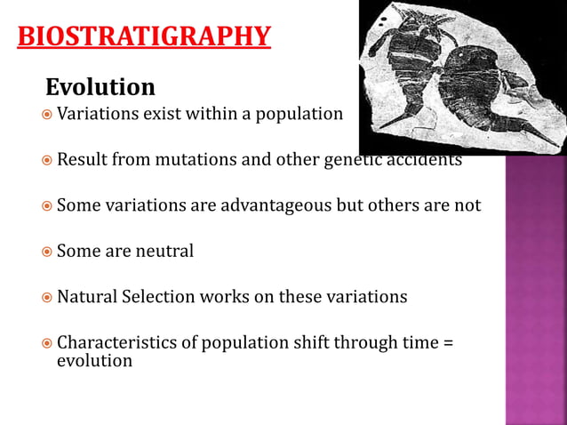 Facies and Stratigraphy sedimentary rocks.pptx