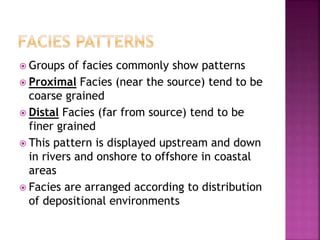 Facies and Stratigraphy sedimentary rocks.pptx