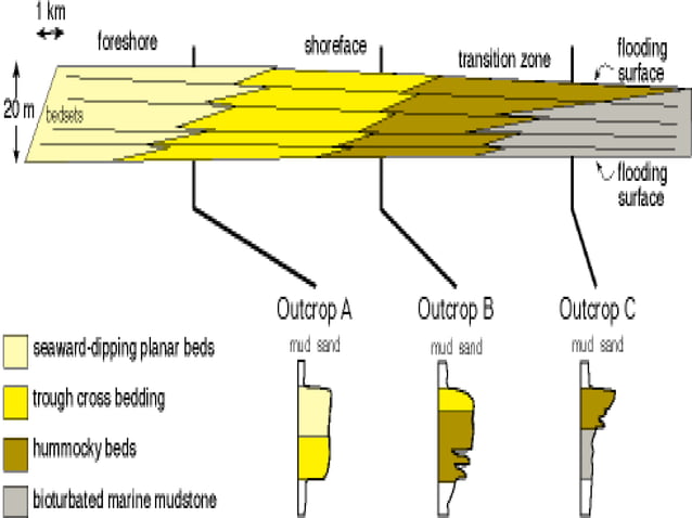 Facies and Stratigraphy sedimentary rocks.pptx