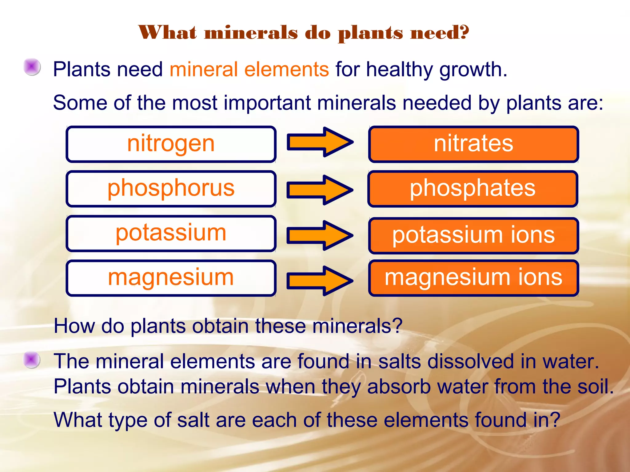 Plants Nutrition | PPT