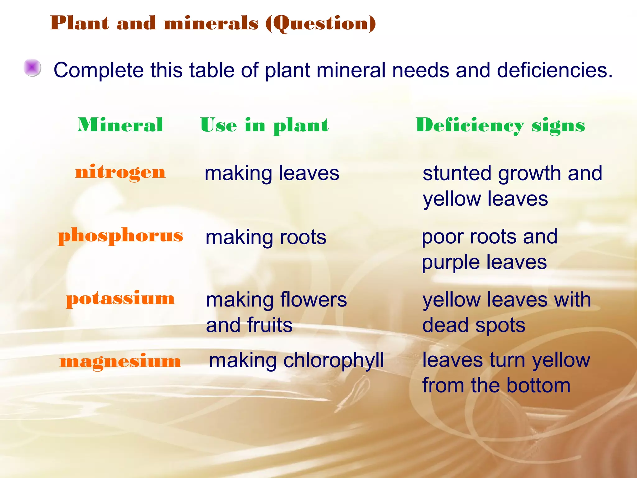 Plants Nutrition | PPT
