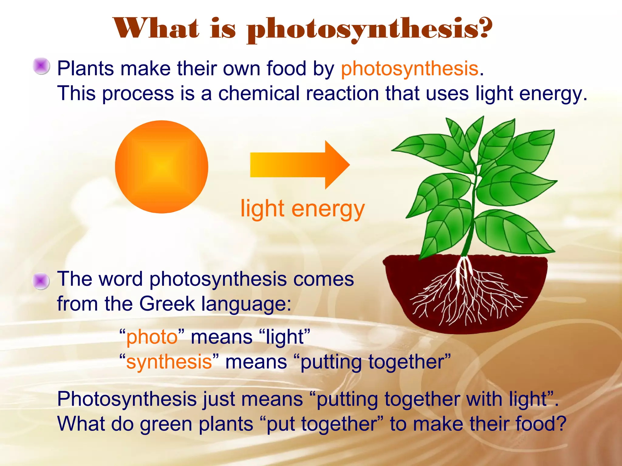 Plants Nutrition | PPT