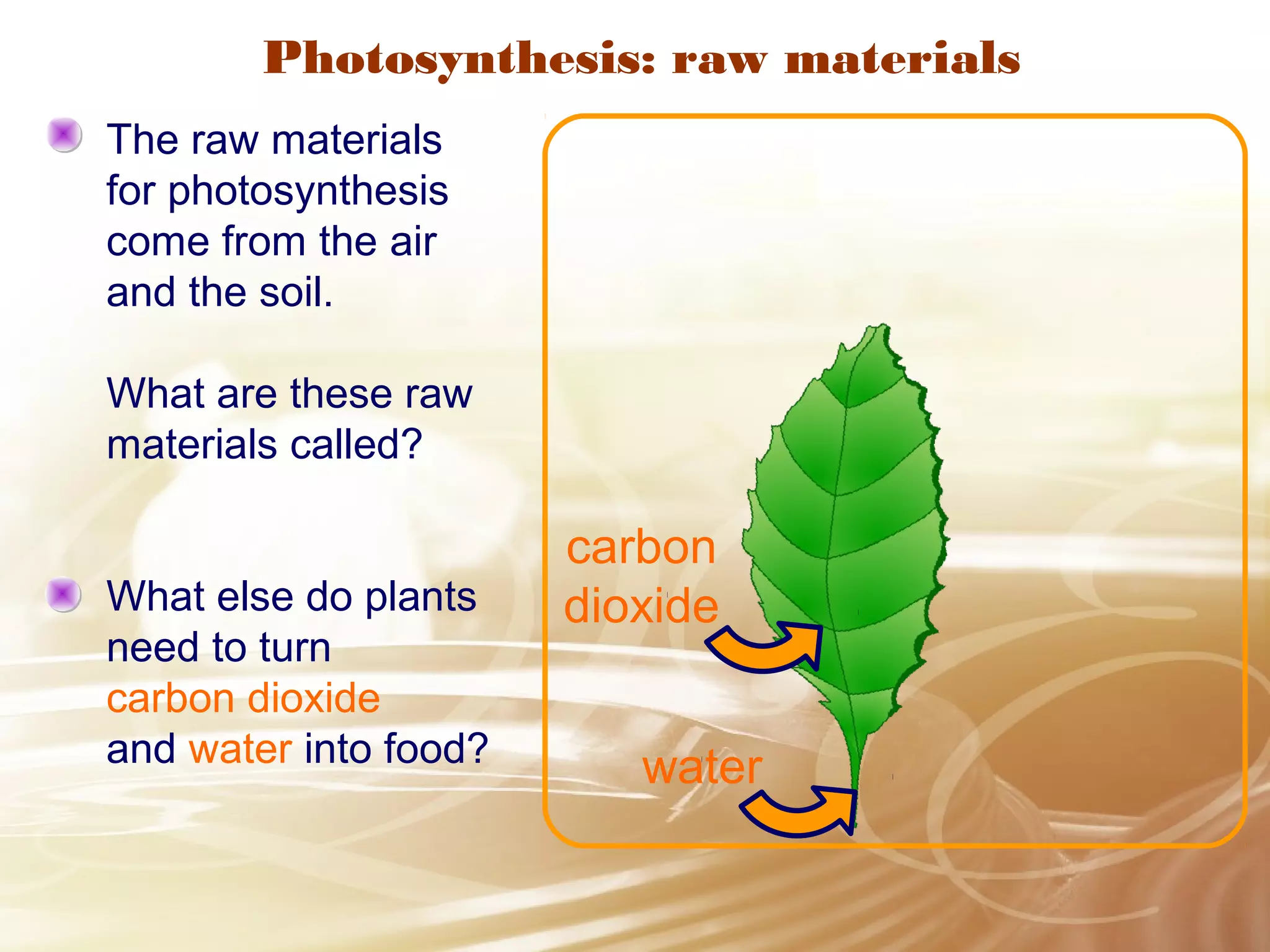 Plants Nutrition | PPT