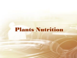 Plants Nutrition | PPT