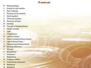 Plants Nutrition | PPT
