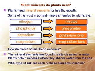 Plants Nutrition | PPT