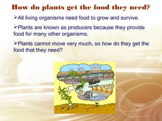 Plants Nutrition | PPT