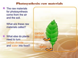 Plants Nutrition | PPT