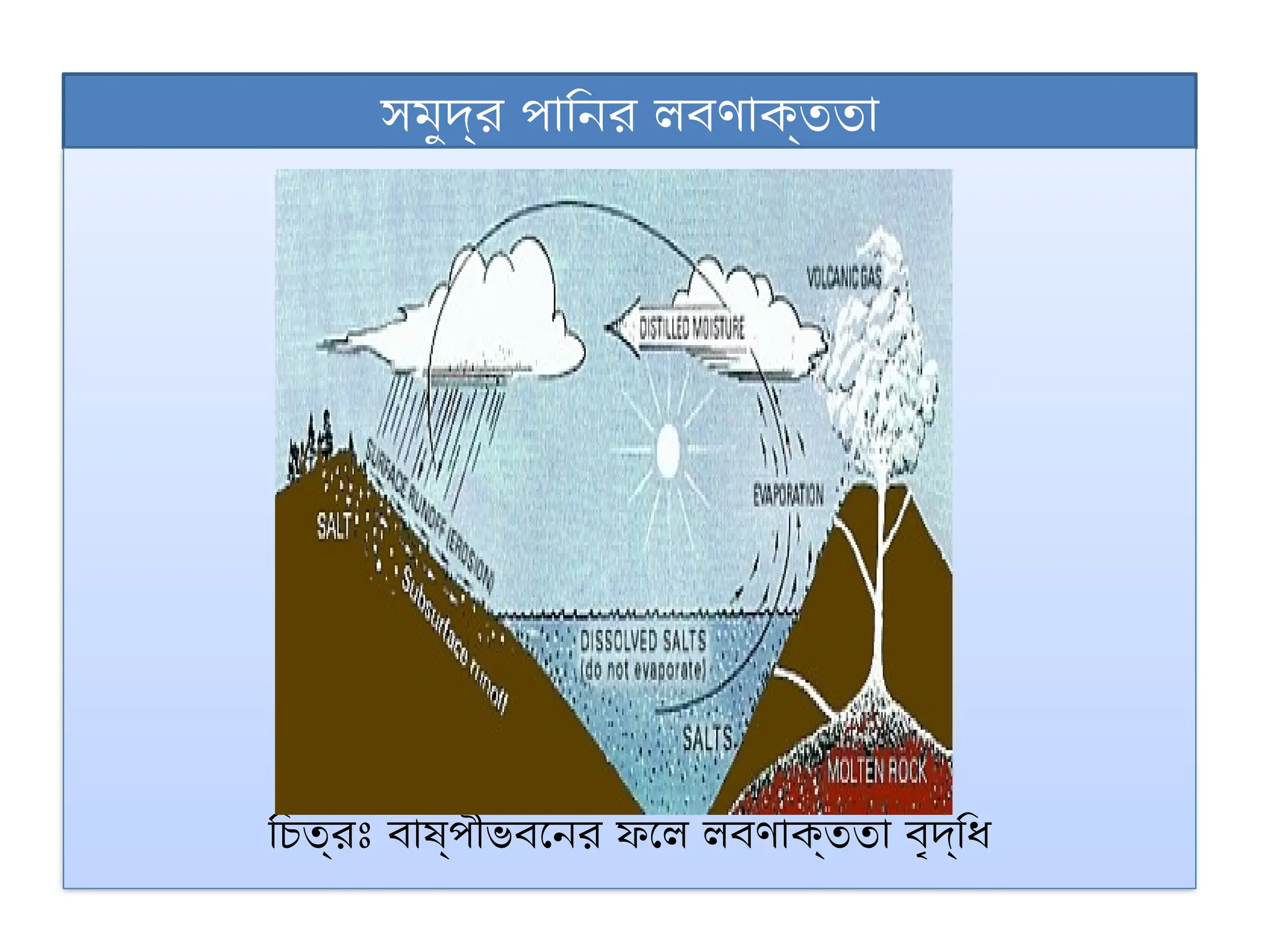Salinity of different Sea Water around the World.pptx