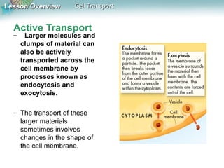 Ch. 7 3 summary | PPT