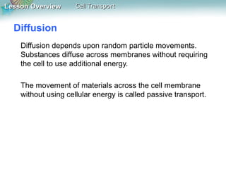 Ch. 7 3 summary | PPT