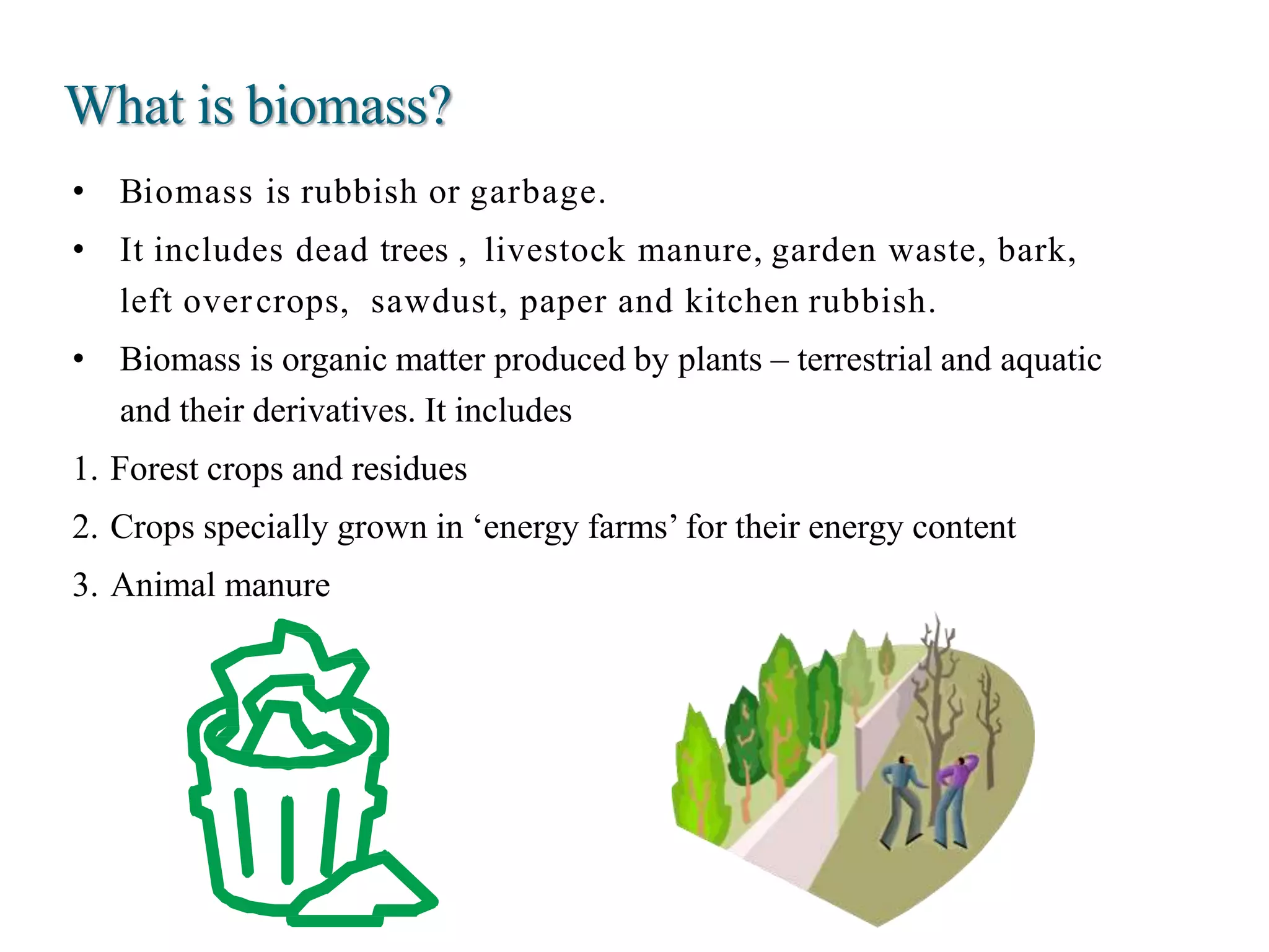 CH 7 Energy From Biomass | PPTX | Chemistry | Science