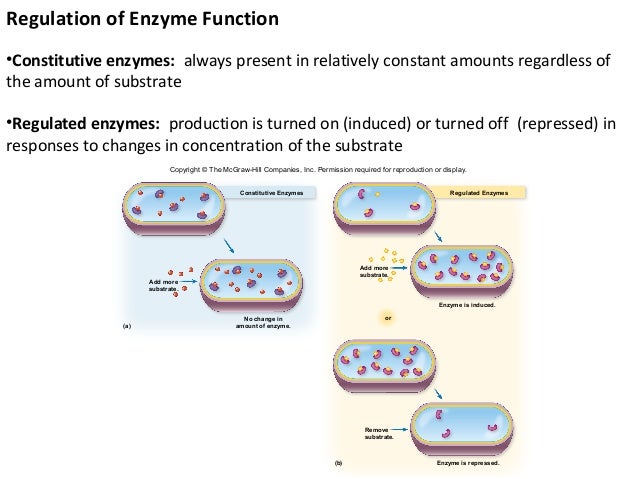 Ch. 7 (microbial metabolism)
