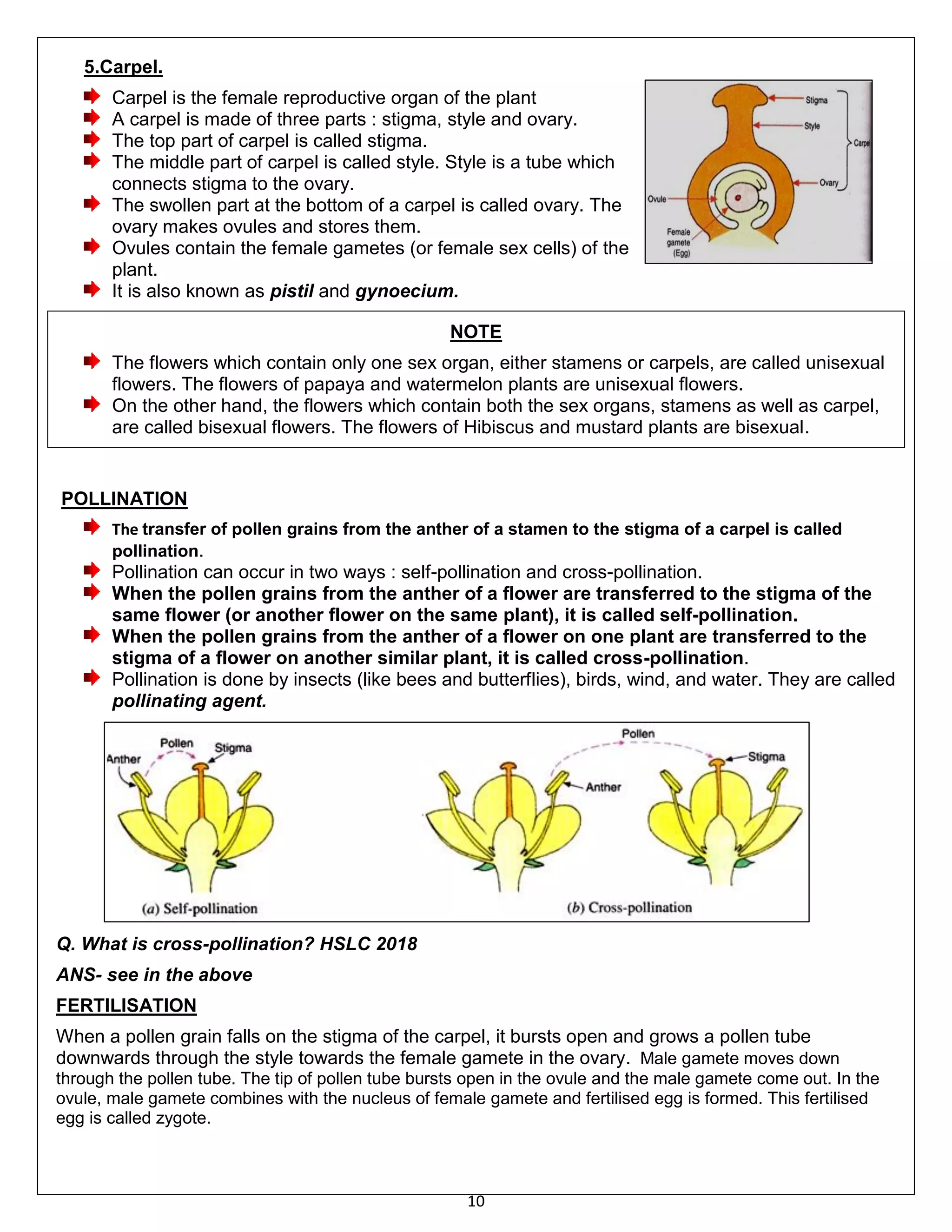 Reproduction- class x biology NCRT | PDF | Infertility | Reproductive ...