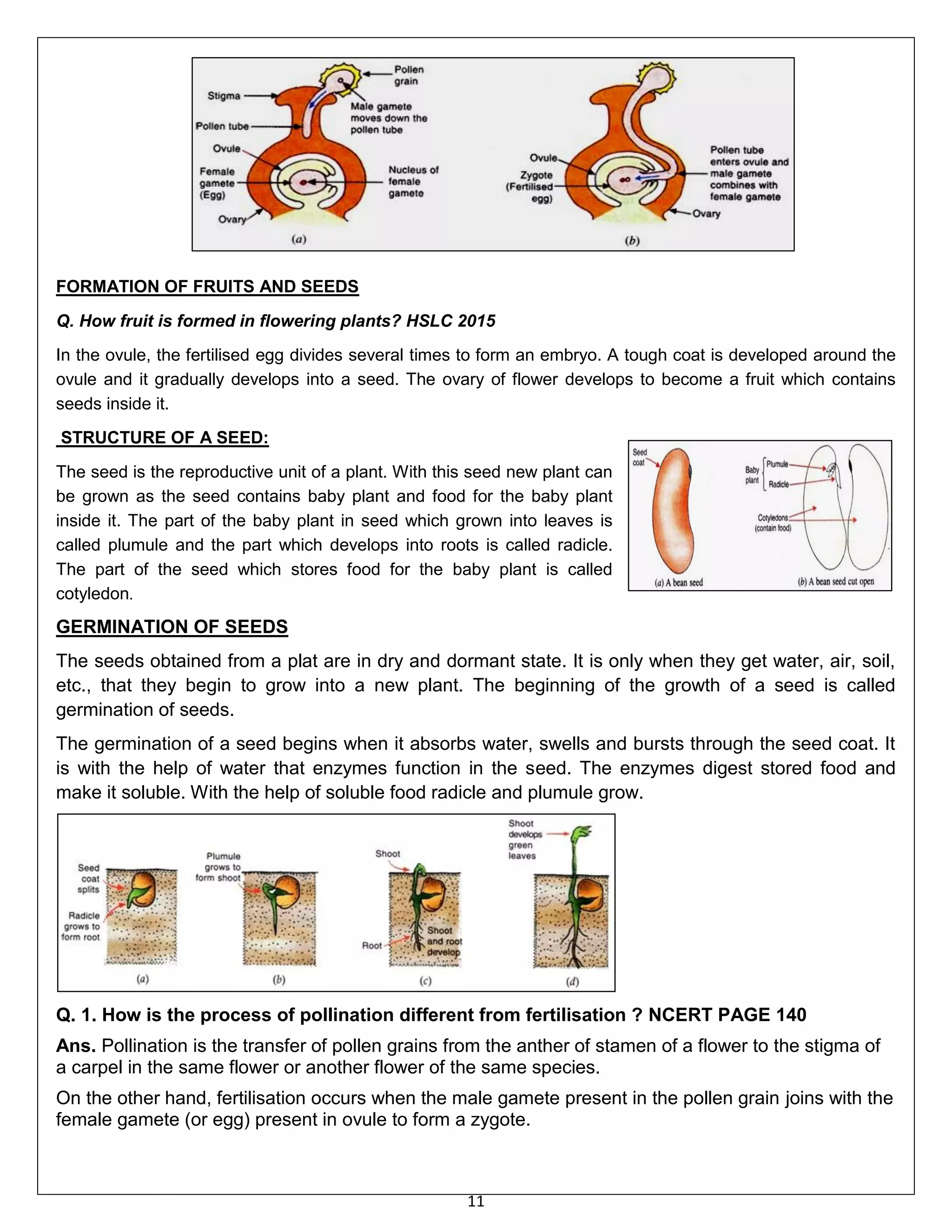 Reproduction- class x biology NCRT | PDF | Infertility | Reproductive ...