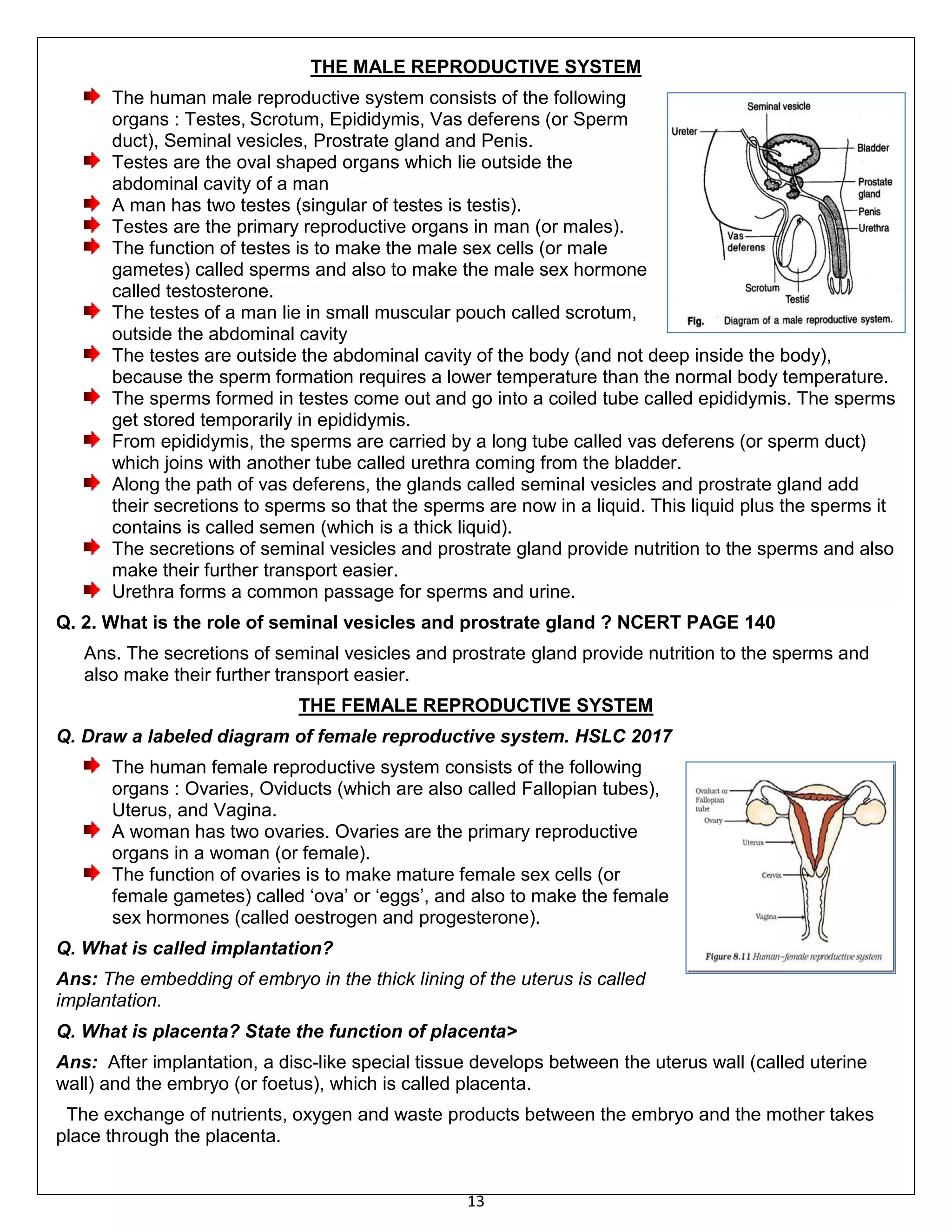 Reproduction- class x biology NCRT | PDF | Infertility | Reproductive ...