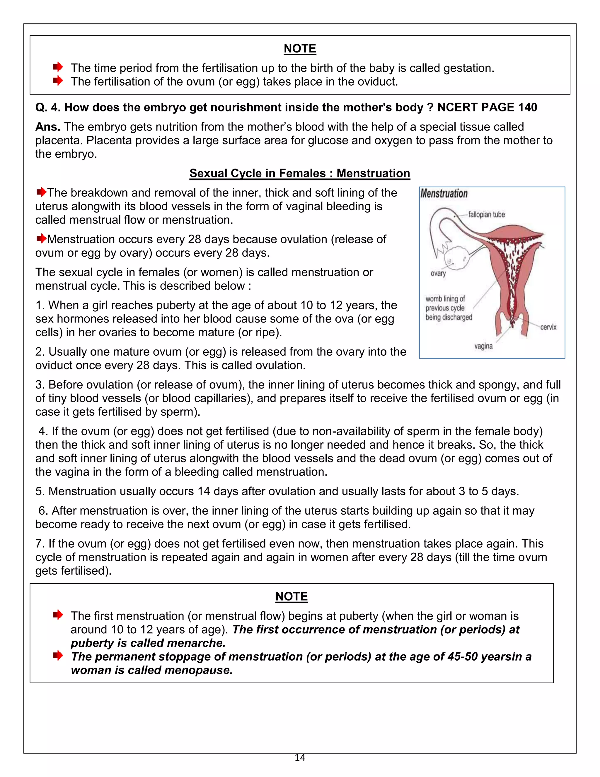 Reproduction- class x biology NCRT | PDF | Infertility | Reproductive ...