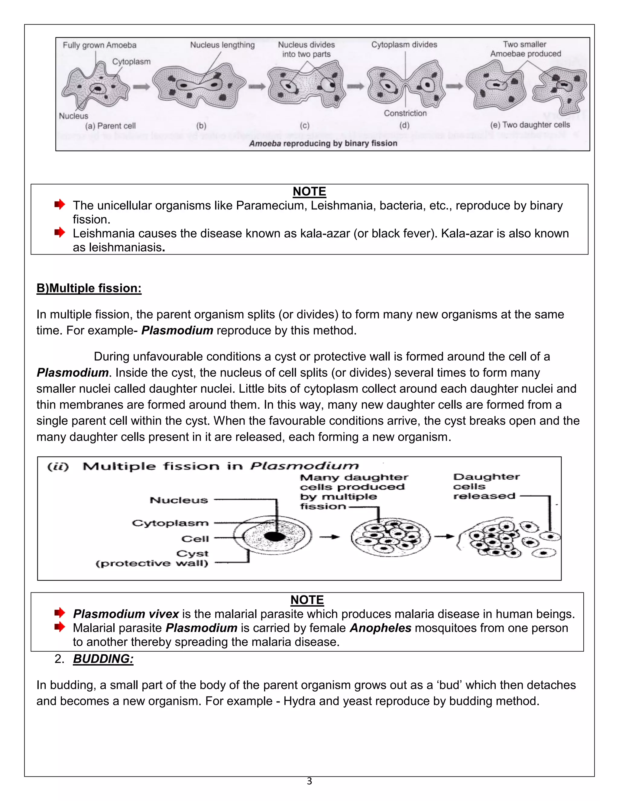 Reproduction- class x biology NCRT | PDF | Infertility | Reproductive ...