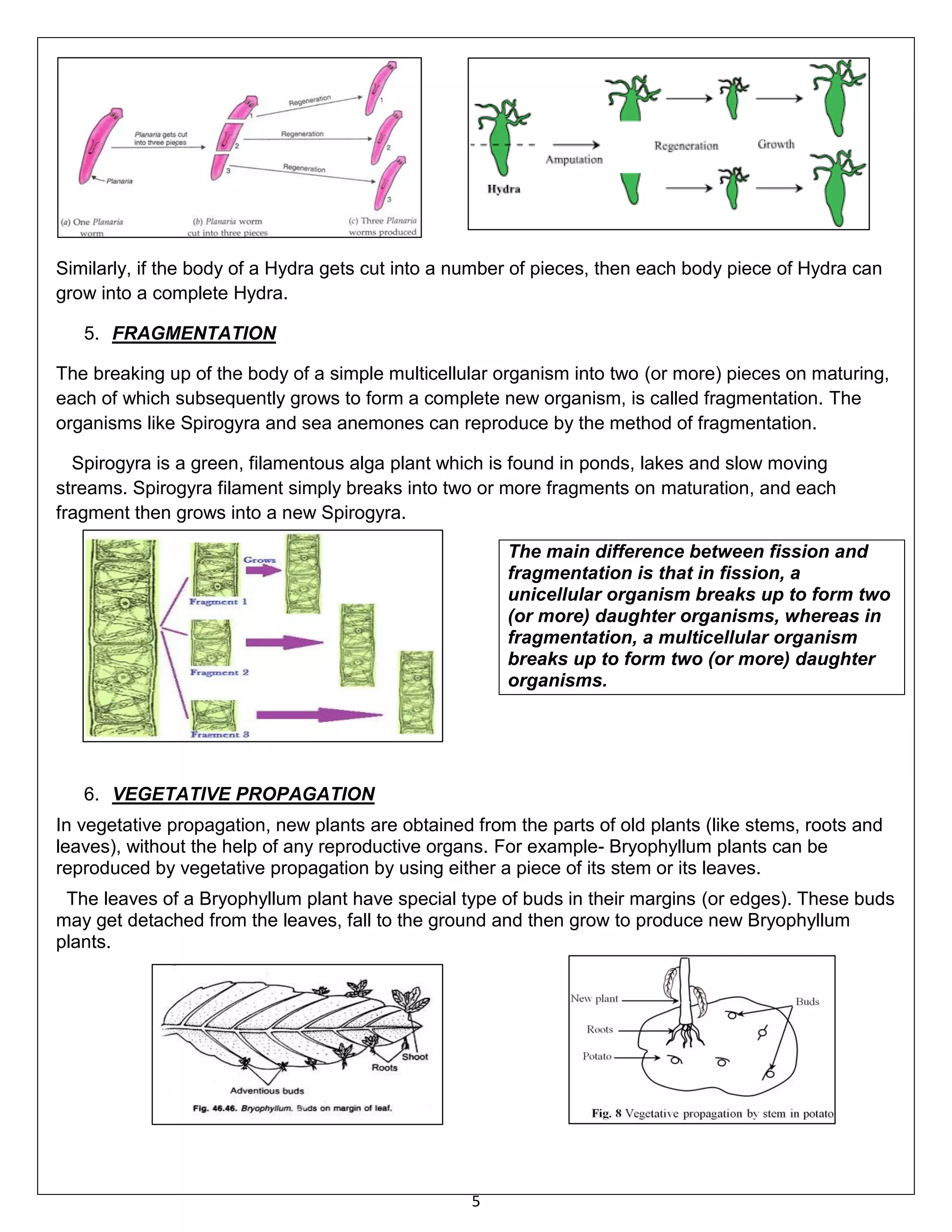 Reproduction- class x biology NCRT | PDF | Infertility | Reproductive ...