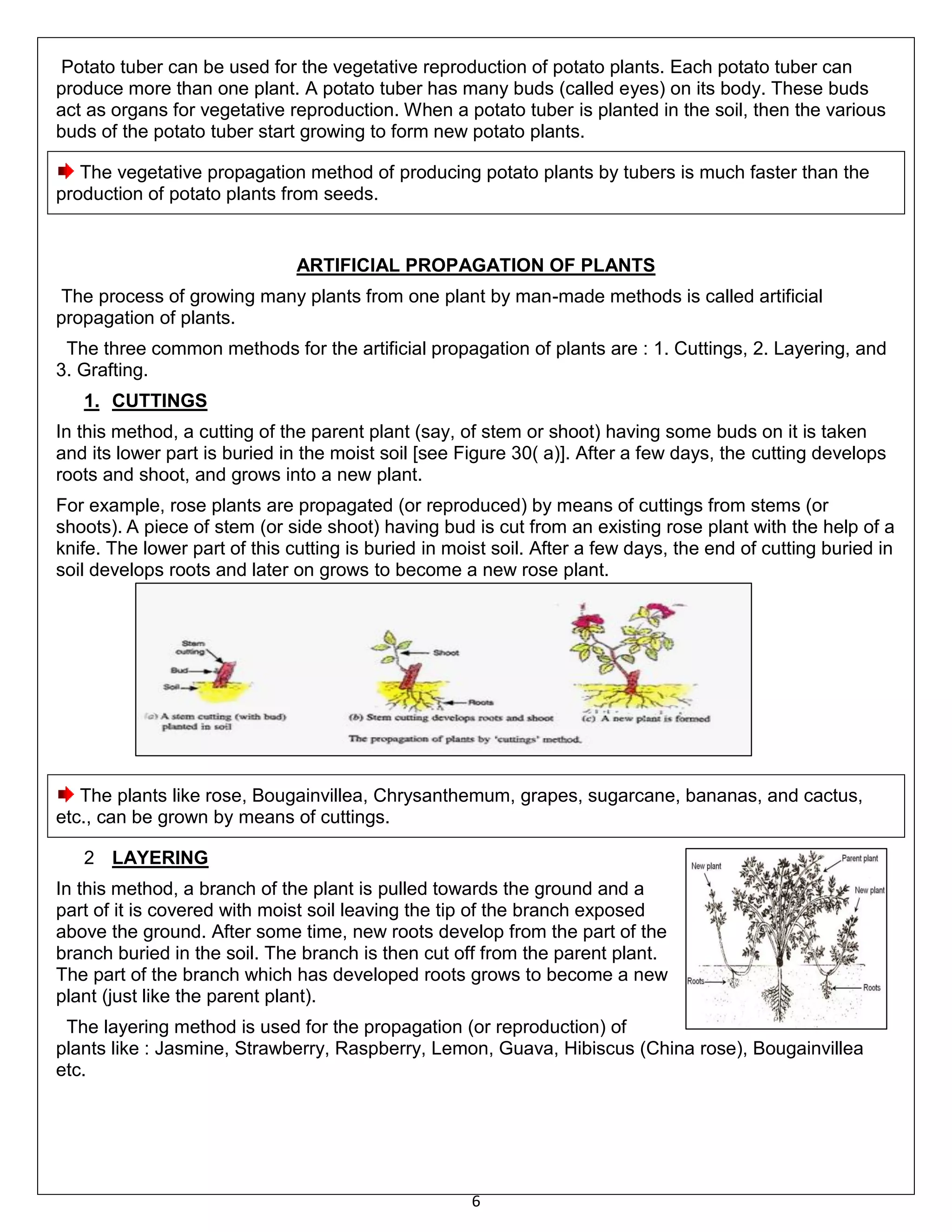 Reproduction- class x biology NCRT | PDF | Infertility | Reproductive ...