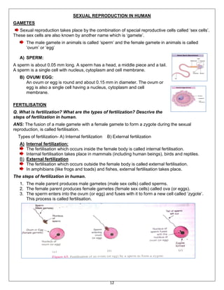 Reproduction- class x biology NCRT | PDF | Infertility | Reproductive ...